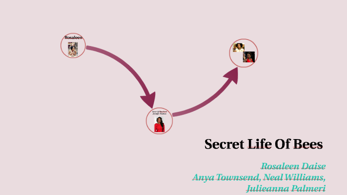 Secret Life Of Bees by