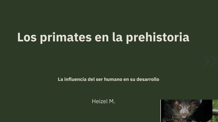 Los primates en la prehistoria by Heizel Medrano on Prezi