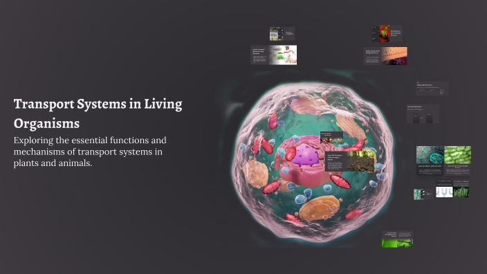Transport Systems in Living Organisms by Kumail Syed on Prezi