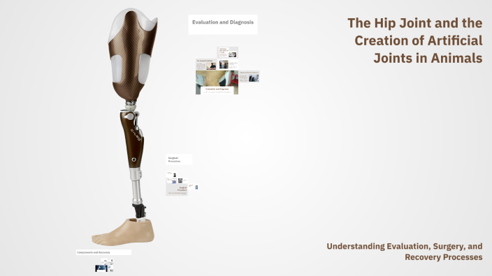 The Hip Joint and the Creation of Artificial Joints in Animals by ...