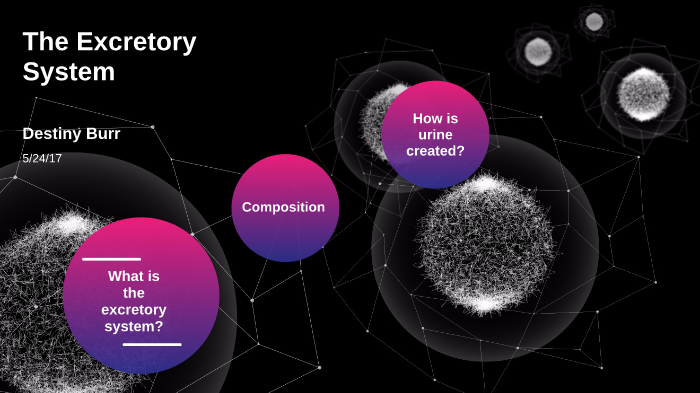 Excretory System by Destiny Burr on Prezi