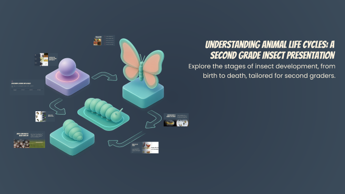 Understanding Animal Life Cycles: A Second Grade Insect Presentation by ...