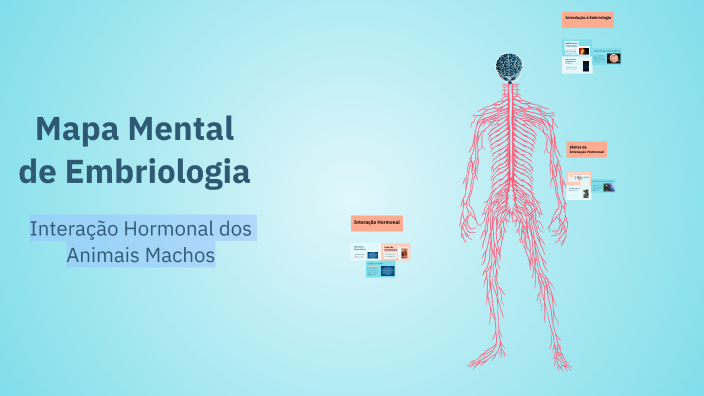 Mapa Mental de Embriologia by Leonardo Roveda on Prezi