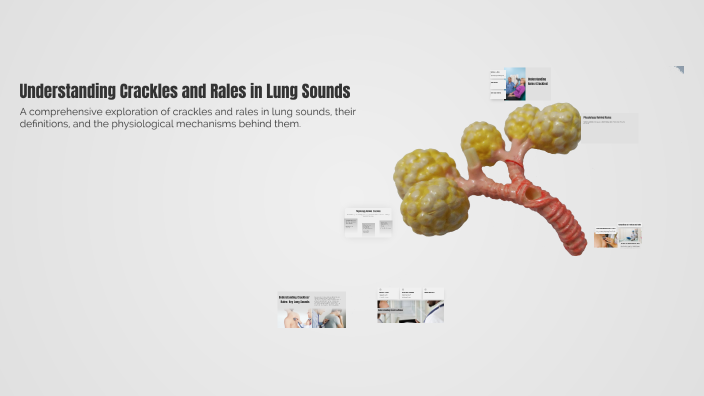 Understanding Crackles and Rales in Lung Sounds by Michayla Acklin on Prezi