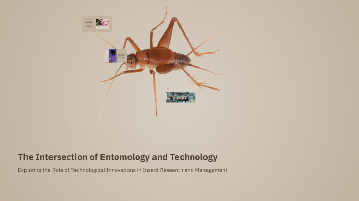 The Intersection of Entomology and Technology by my computer on Prezi