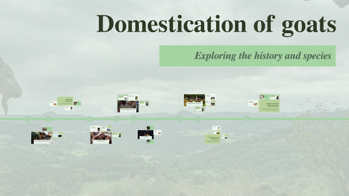 Domestication of the Goat by Aiden Mantia on Prezi