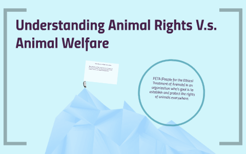 Understanding Animal Rights V.s. Animal Welfare by Morgan Riat