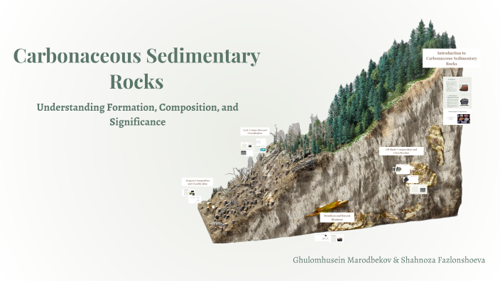 Carbonaceous Sedimentary Rocks by Sad Dass on Prezi