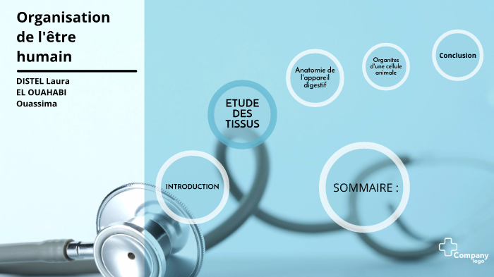 Organisation de l'être humain by Laura DISTEL on Prezi