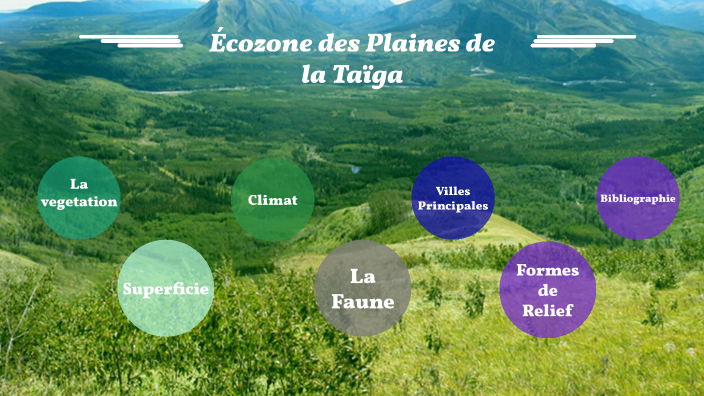 Écozones des Plaines de la Taïga by Chloe Watson on Prezi