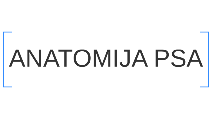 ANATOMIJA PSA by david lipavec on Prezi