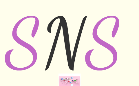 SNS and Global communication by youna park on Prezi