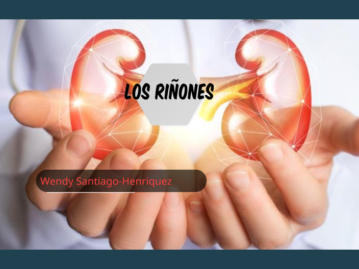 Los Riñones by Wendy Santiago-Henriquez on Prezi
