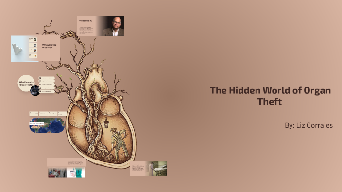 Inside the Real-Life Human Marketplace: The Hidden World of Organ Theft ...