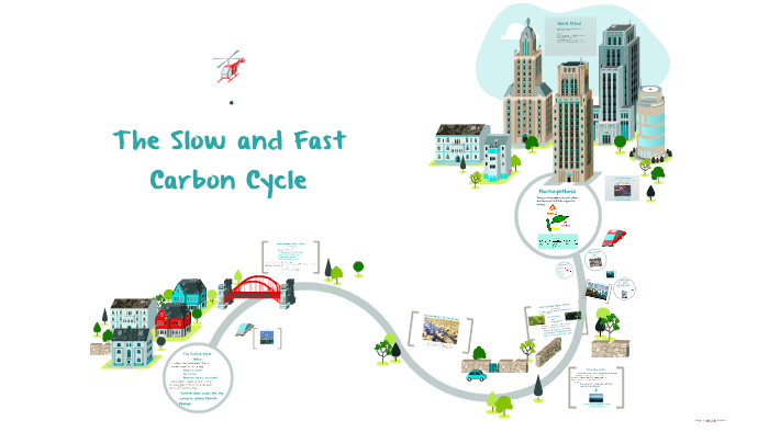 The Slow and Fast Carbon Cycle by Kaylin voss on Prezi