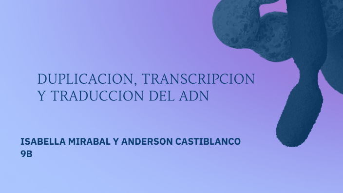 Duplicacion, transcripcion y traduccion del ADN- Isabella Mirabal y ...