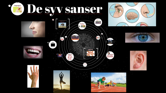 De syv sanser by Sandra Madsen Hamre on Prezi