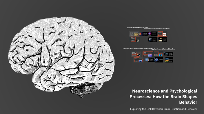 Neuroscience and Psychological Processes: How the Brain Shapes Behavior ...
