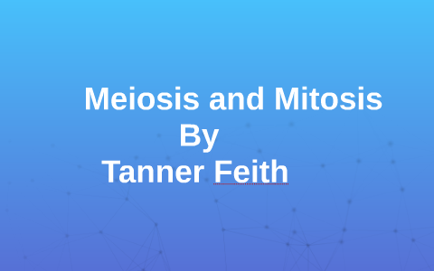 Meiosis and Mitosis by Tanner Feith on Prezi