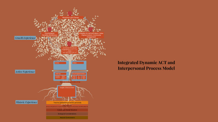 Integrated ACT and Interpersonal Process Model by Elisabeth Hand on Prezi
