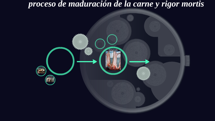 proceso de maduración de la carne y rigor mortis by Gil Segovia Castro ...