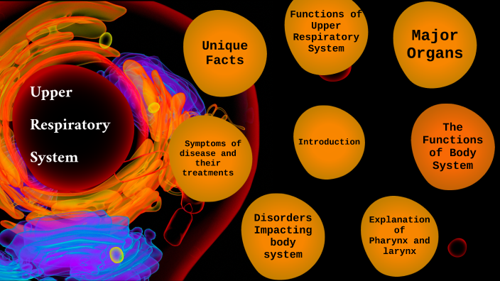 Upper Respiratory System by Shreya Nileshkumar Patel on Prezi