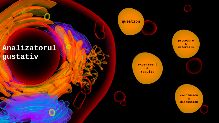 Analizatorul Gustativ By Mihaela Chirosca On Prezi