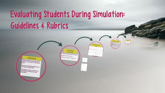 Evaluating Students During Simulation: Guidelines & Rubrics by Melonie ...