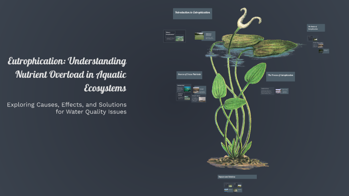 Eutrophication: Understanding Nutrient Overload in Aquatic Ecosystems ...