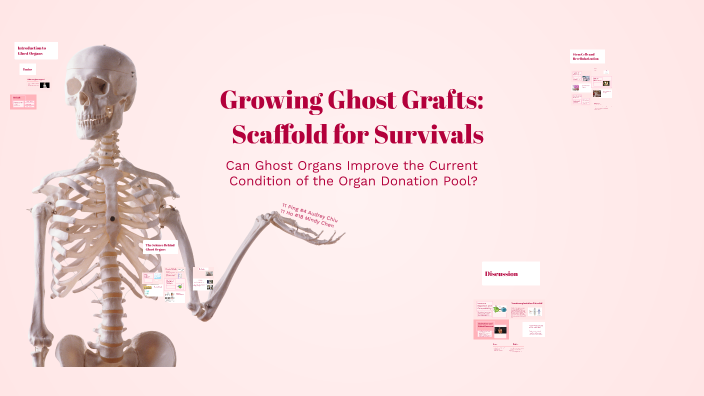 Ghost Organs by 21204 邱佾淳Audrey on Prezi