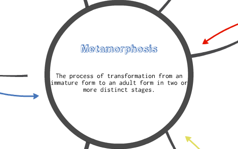 complete and incomplete metamorphosis by diana Mora on Prezi