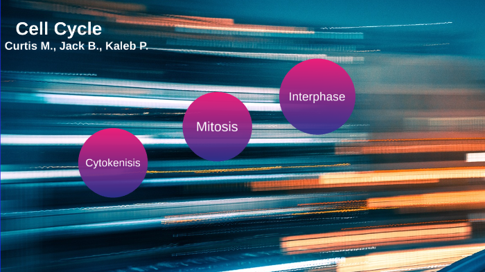 Cell Cycle by Kaleb Purdy on Prezi