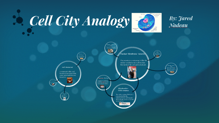 Cell City Analogy by Jared Nadeau on Prezi