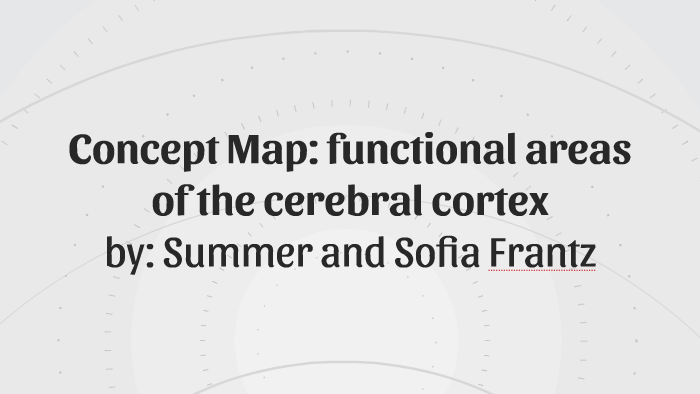 Concept Map: functional areas of the cerebral cortex by Sofia Frantz on ...