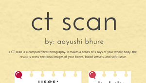 ct scan infographic by Aayushi Bhure _ Student - WakeHlthSciE on Prezi ...