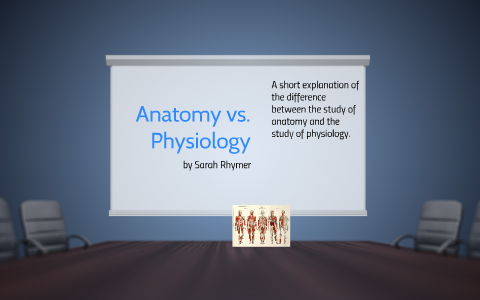 Anatomy vs. Physiology by Sarah Rhymer on Prezi