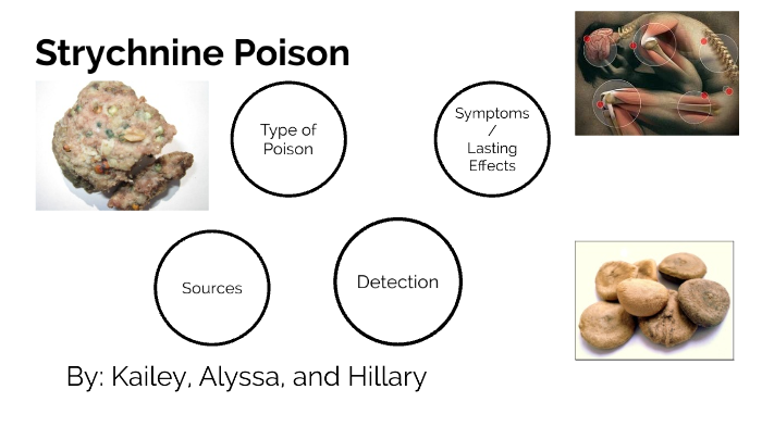 strychnine Poison - nimfomane.com