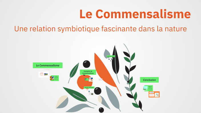 Le Commensalisme by Manel SAADI on Prezi