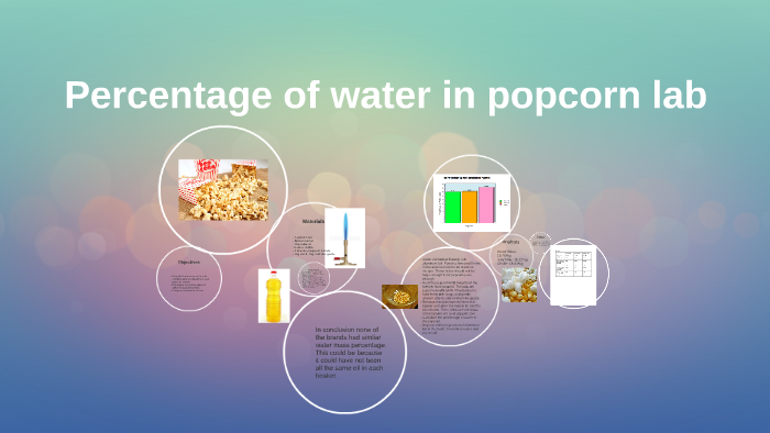 Percentage of water in popcorn lab by madeline evans