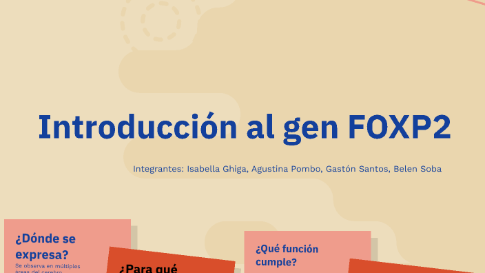 El gen FOXP2 by isabella ghiga on Prezi