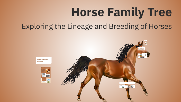 Horse Family Tree by Nic Super on Prezi