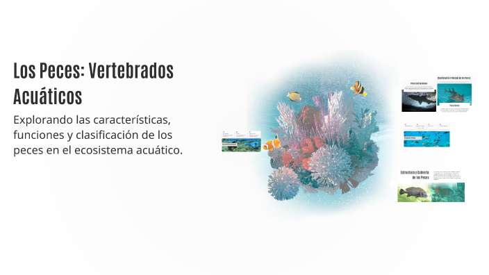 Los Peces: Vertebrados Acuáticos by Gadiel Zuñiga on Prezi
