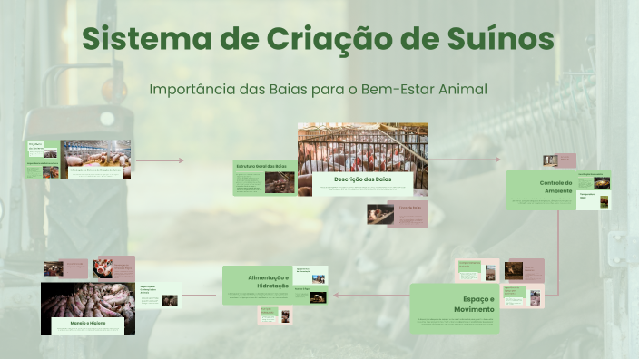 Sistema de Criação de Suínos by frank silva on Prezi