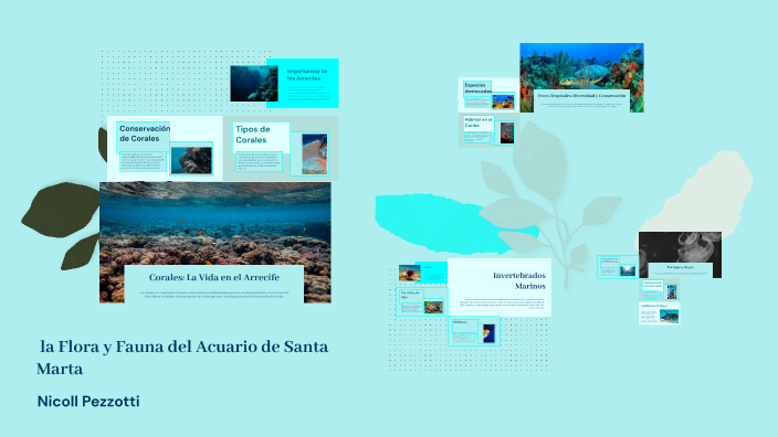 Explorando la Flora y Fauna del Acuario de Santa Marta by Valentina Cardona B on Prezi