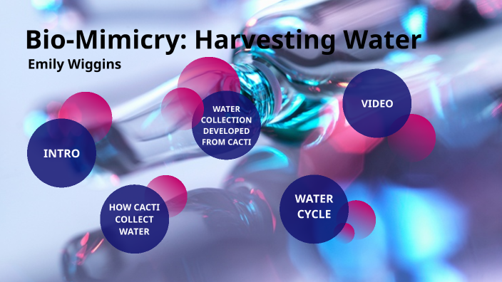 Bio-Mimicry: Harvesting Water by Emily Wiggins on Prezi
