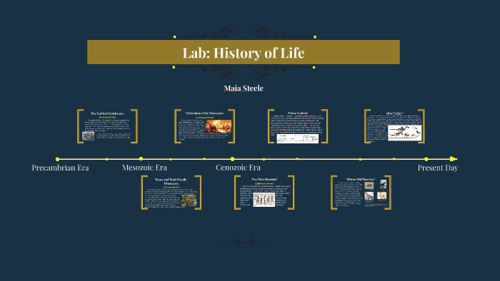 Lab: History of Life by Maia Steele