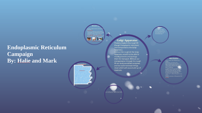 Endoplasmic Reticulum Campaign by Halie Cooper on Prezi