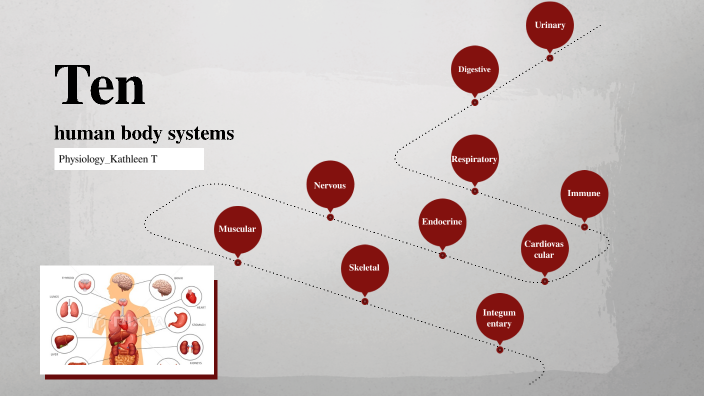 10 Human body systems by Bao Khanh Truong on Prezi
