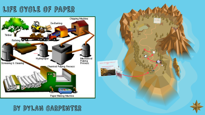 LIFE CYCLE OF PAPER by Dylan Carpenter on Prezi
