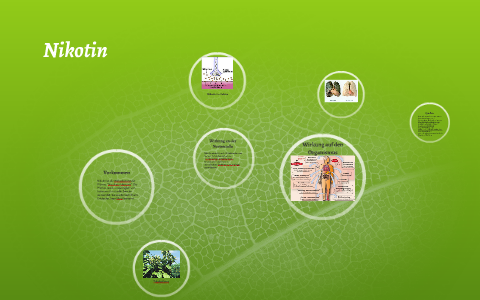 Nikotin by Philip Dorpema on Prezi